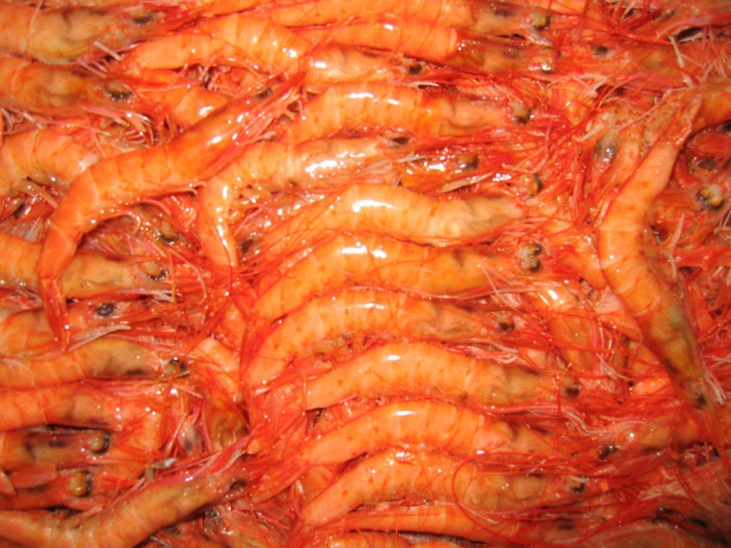 Gamba - Bilbofres, pescados frescos y congelados